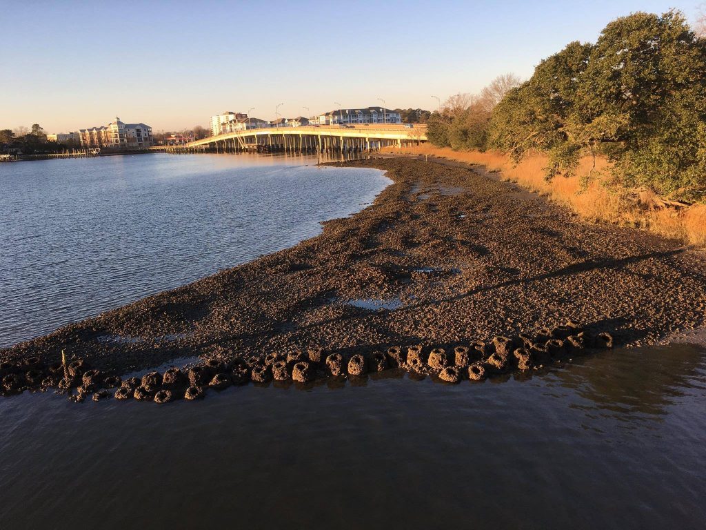 Lafayette River Oyster Reefs Thrive Through the Work of Partnering ...