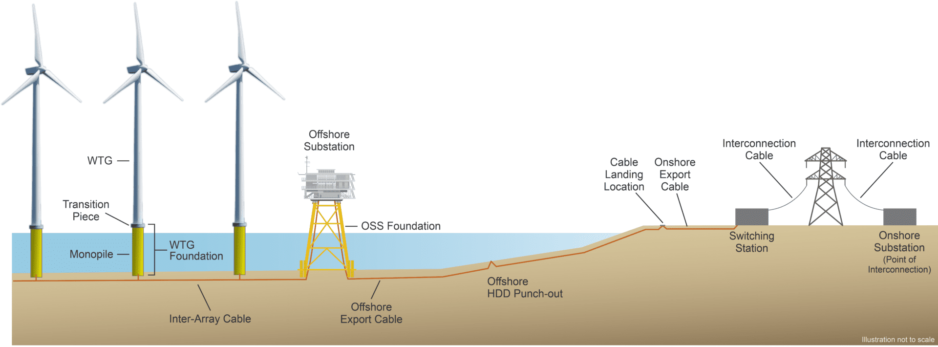 Home Is Where the Wind Is | CoVaBiz Magazine